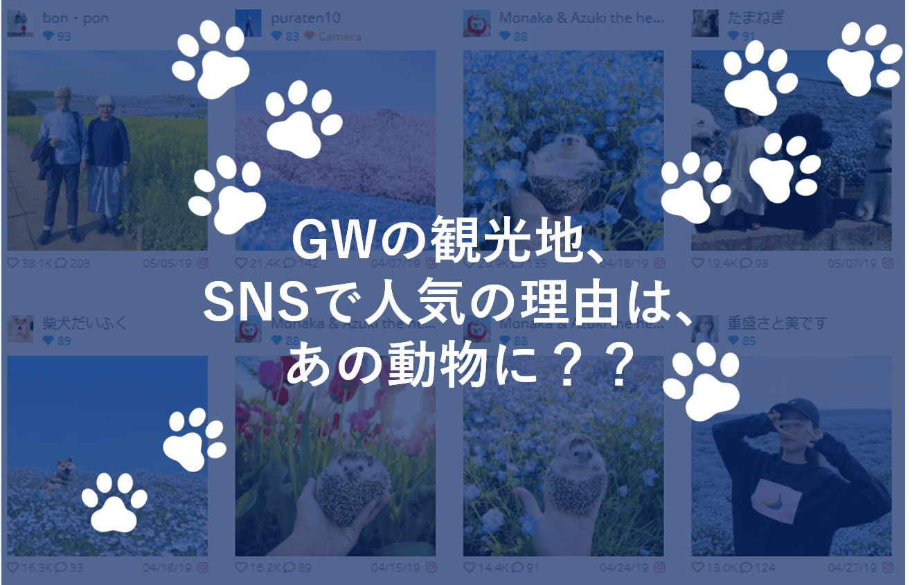 GWの観光地、SNSで人気の理由は、あの動物に？？｜MarTechLab（マーテックラボ）