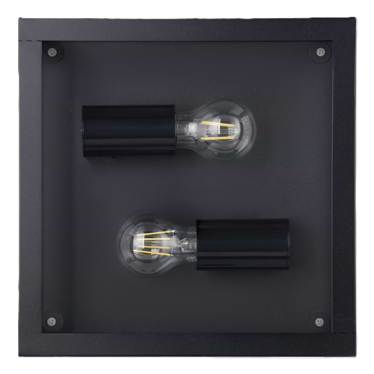 Amezola Black E27 Wall and Ceiling Light IP44 | Eglo - Elesi