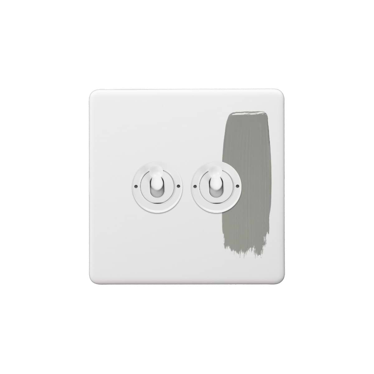 2 gang toggle switch