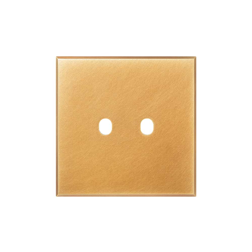 Natural Brass 2 Gang Rectangular Grid Switch Plate | Soho - Elesi