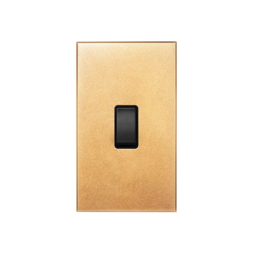 Natural Brass 45A Double Pole 1 Gang Light Switch with Black Insert ...