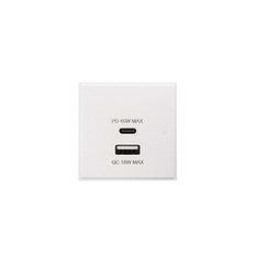 White Euro Module | White USB C Euro Module - The Soho Lighting Company