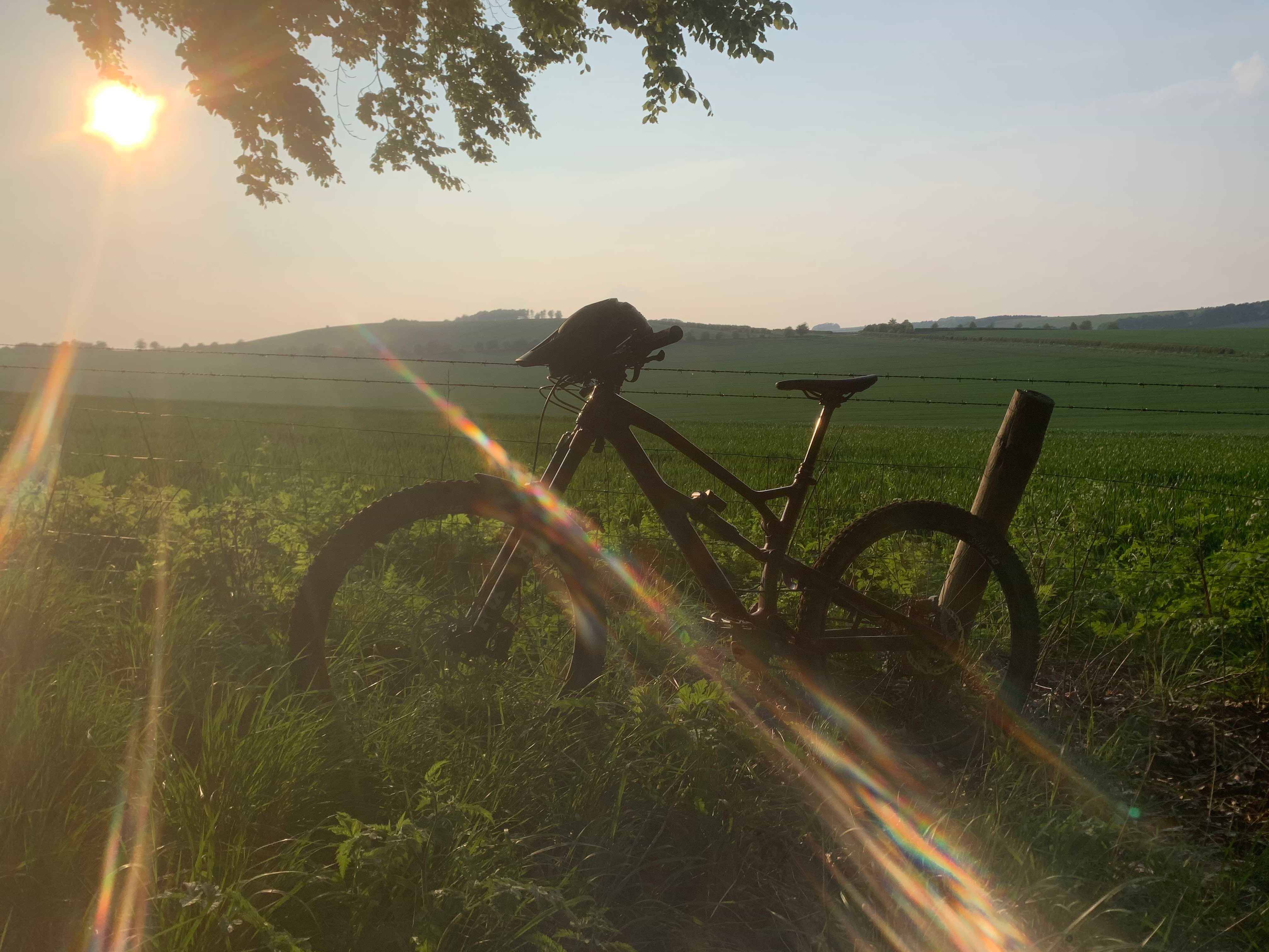 Active Ambassador | George Rickman | Neilson