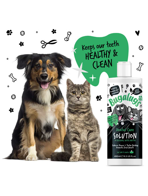 Bugalugs Dental Care Water Solution 490ml