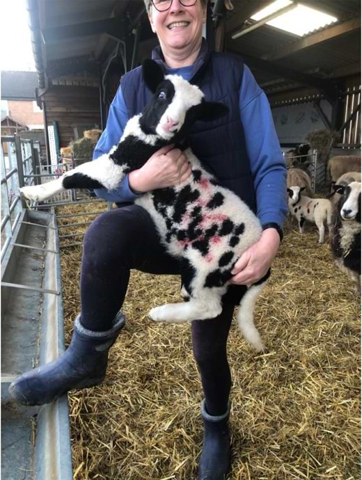 Leon Boots Women's Ultralight Ankle Boot Navy