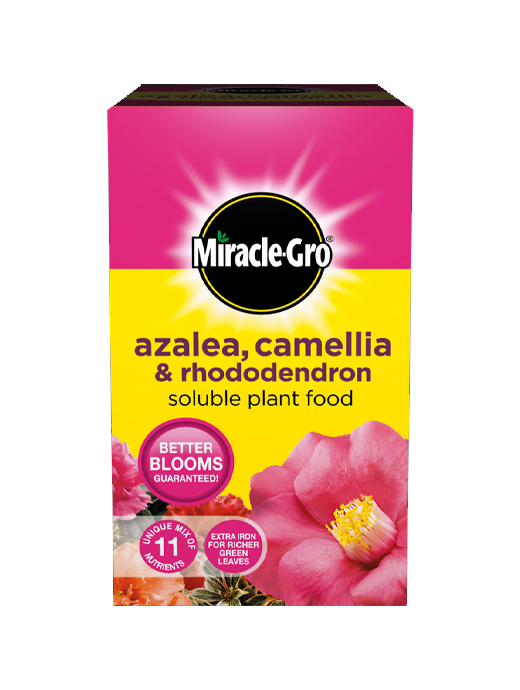 Miracle Gro Erica Plant Food 1KG | Griggs Agri