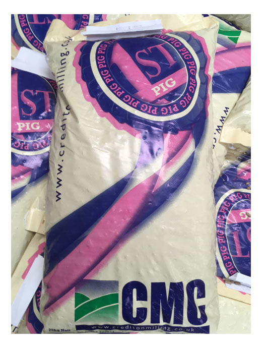 Crediton Sow Nuts 25kg | Griggs Agri