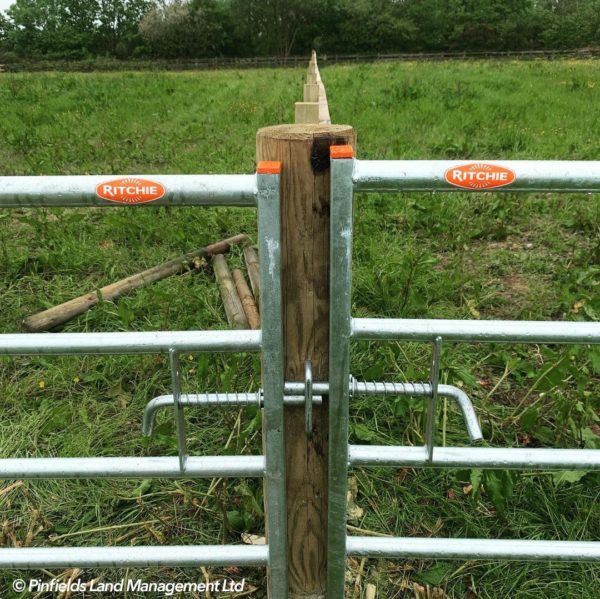 Ritchie Galvanised Field Gate | Griggs Agri