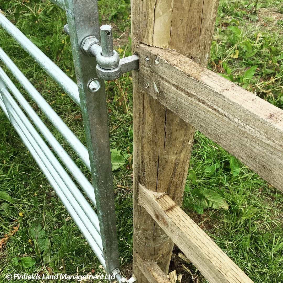 Ritchie Galvanised Field Gate | Griggs Agri