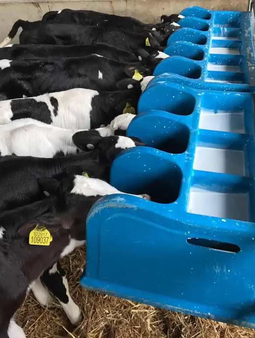 Wydale 5 Teat Calf Feeder | Griggs Agri