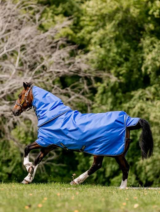 Horseware Amigo Hero 600D Ripstop Plus 100g-Blue/Navy & Grey | Griggs ...