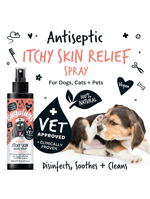 Bugalugs Antiseptic Itchy Skin Relief Spray 200ml | Griggs Equestrian
