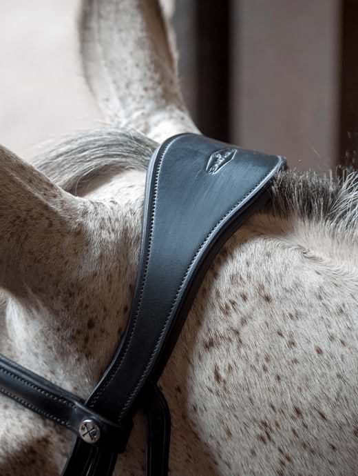 Henry James Saddlery Cavesson Bridle Black | Griggs Equestrian