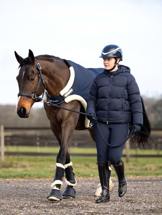 LeMieux Walker Rug Navy | Griggs Equestrian