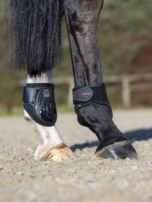 Horse Tendon & Fetlock Books | Griggs Equestrian
