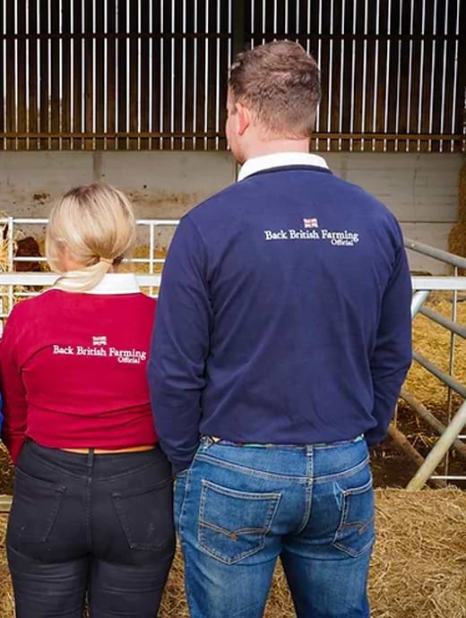 BBF Men's Premium Rugby Shirt Navy