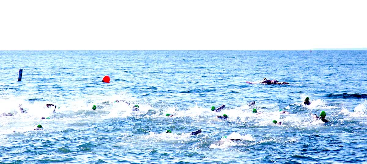 Swimmers Take a Mile-Long Plunge in Y’s 'Point to Point Swim ...