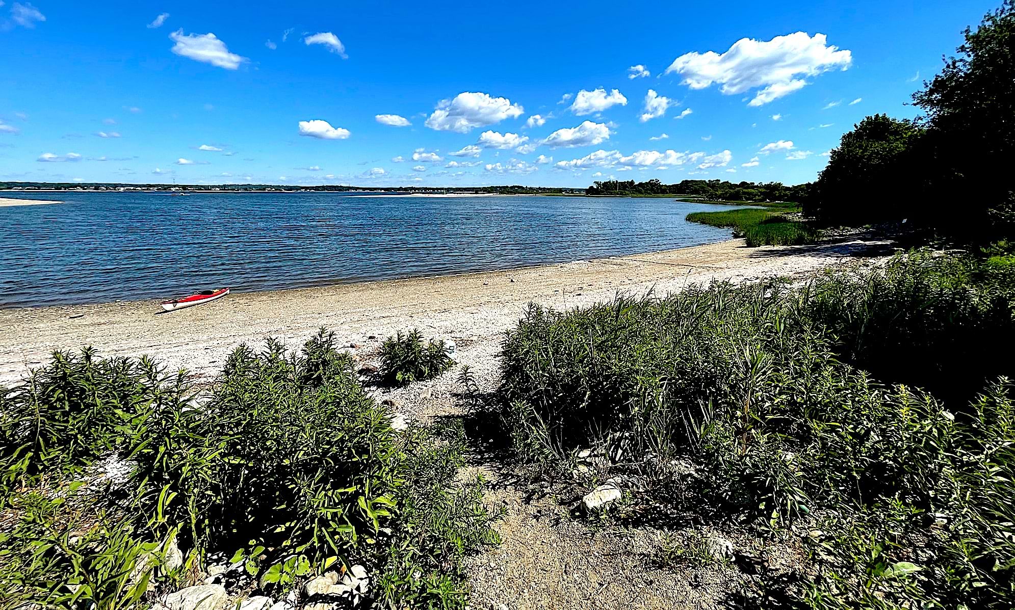 Cockenoe Island: A Change of Pace at Westport’s Offshore Place ...