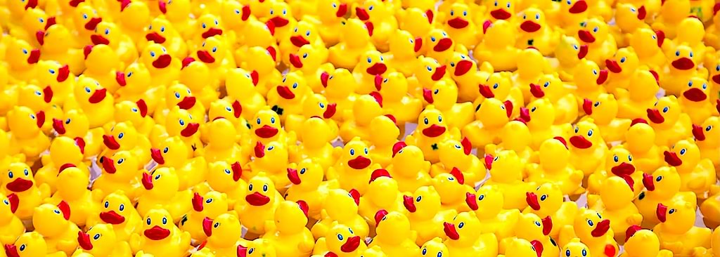 Try your luck, take a chance on a duck | Westport Journal