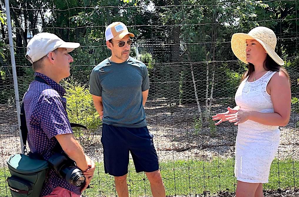 Open-air gallery: Community gardeners cultivate support from artists ...