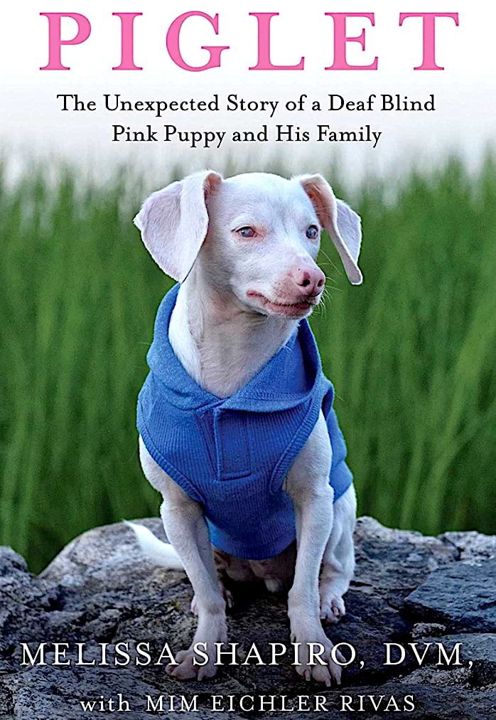 Special Tale: Veterinarian's Book Tells Story of Disabled, Pink Puppy ...