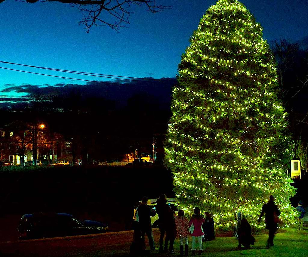 Lighting Ceremony for Town’s Christmas Tree Set for Friday | Westport ...