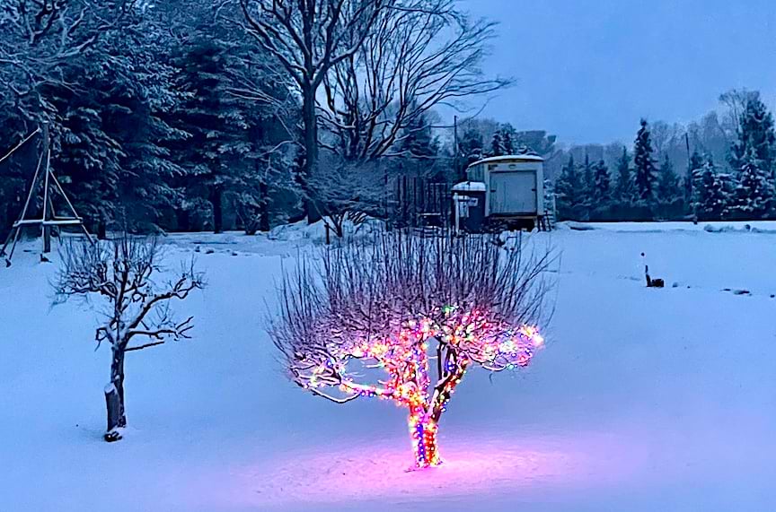 Snow glow | Westport Journal