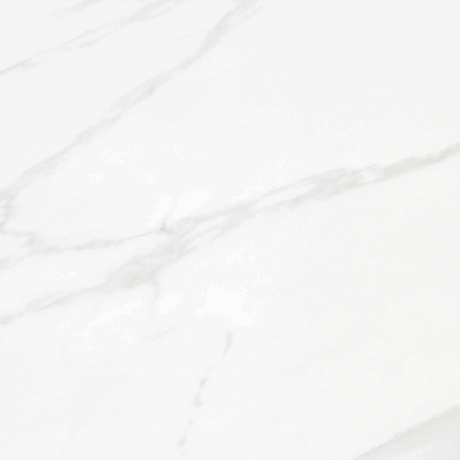 Basic Bianco Marble 12x24 Matte Porcelain Tile | TileBar.com