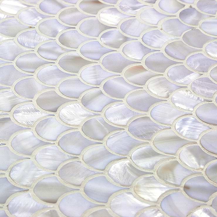 Oyster White Pearl Shells Tile | Tilebar.com
